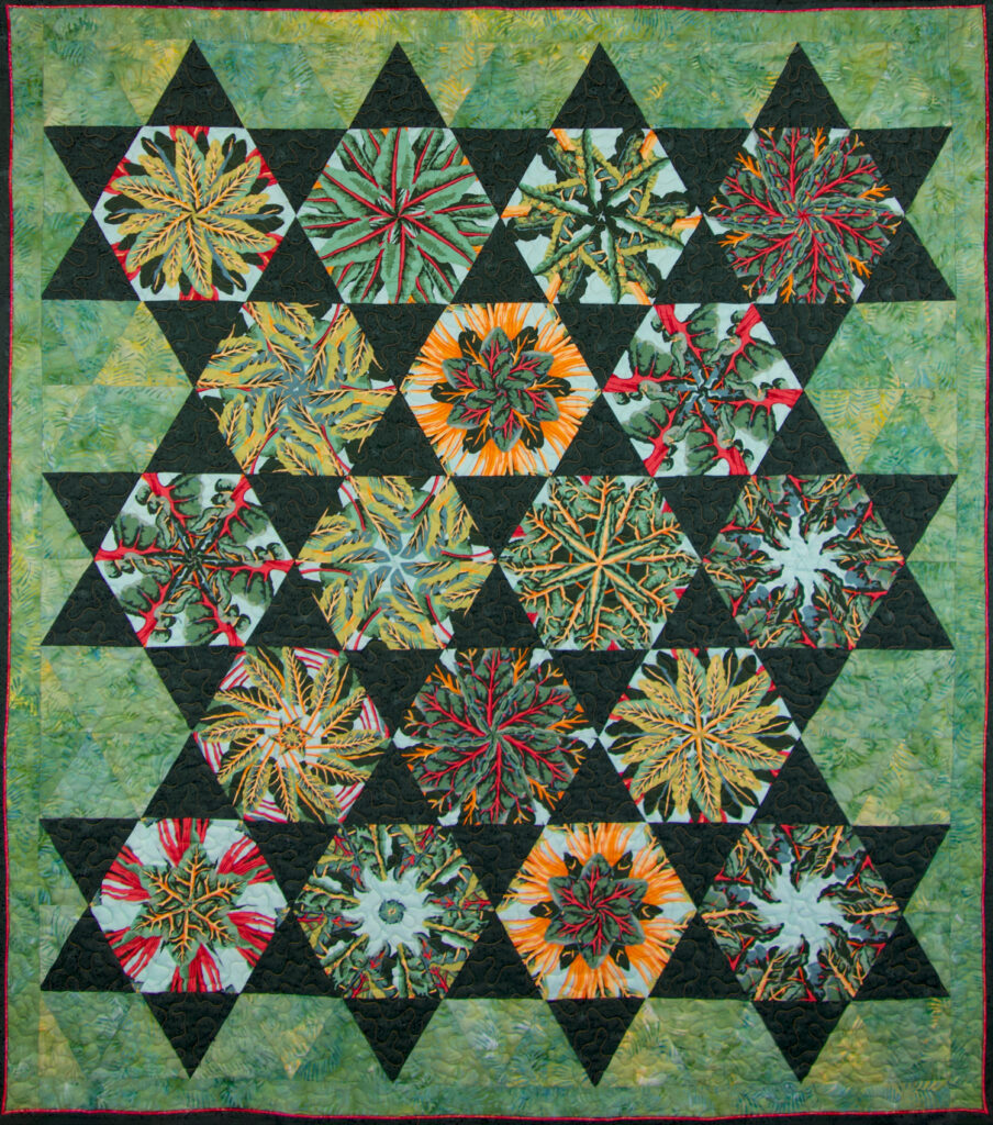 Dianne Duncan Thomas: Quilt Expressions – CCAM